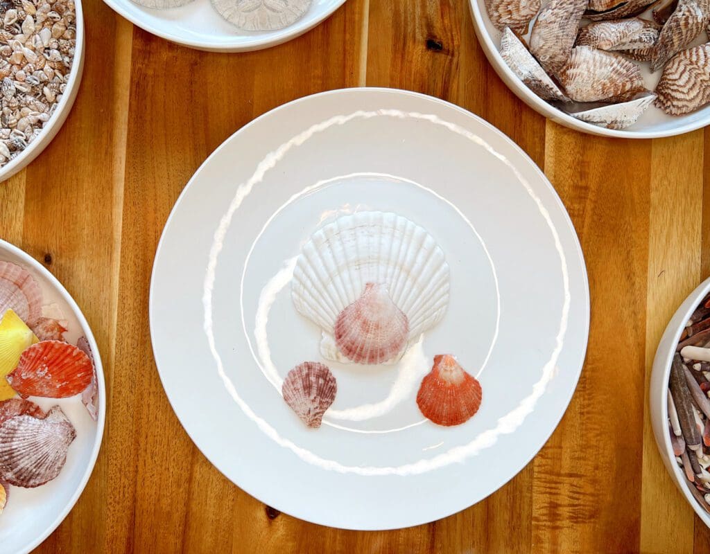 How to Make a Seashell Turkey Place Card Holder