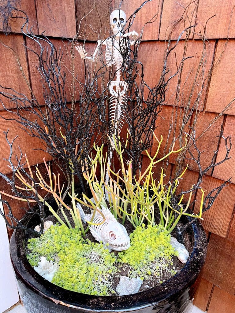 How to Style a Spooky Seaside Doorway