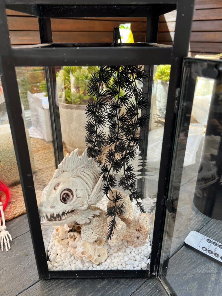 How to Style a Spooky Seaside Doorway
