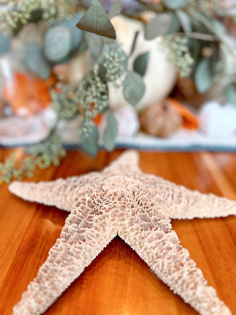 A Beautiful Coastal Thanksgiving Table – From the Bay to the Beach